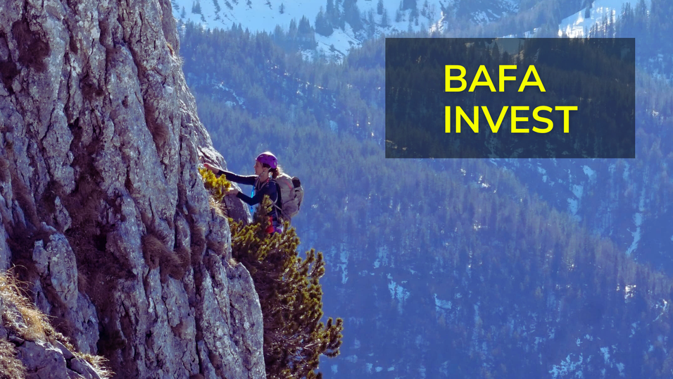 BAFA INVEST: Our Guide for Venture Capital Funding