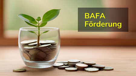 Bafa Forderung Und Steuerlich Absetzen
